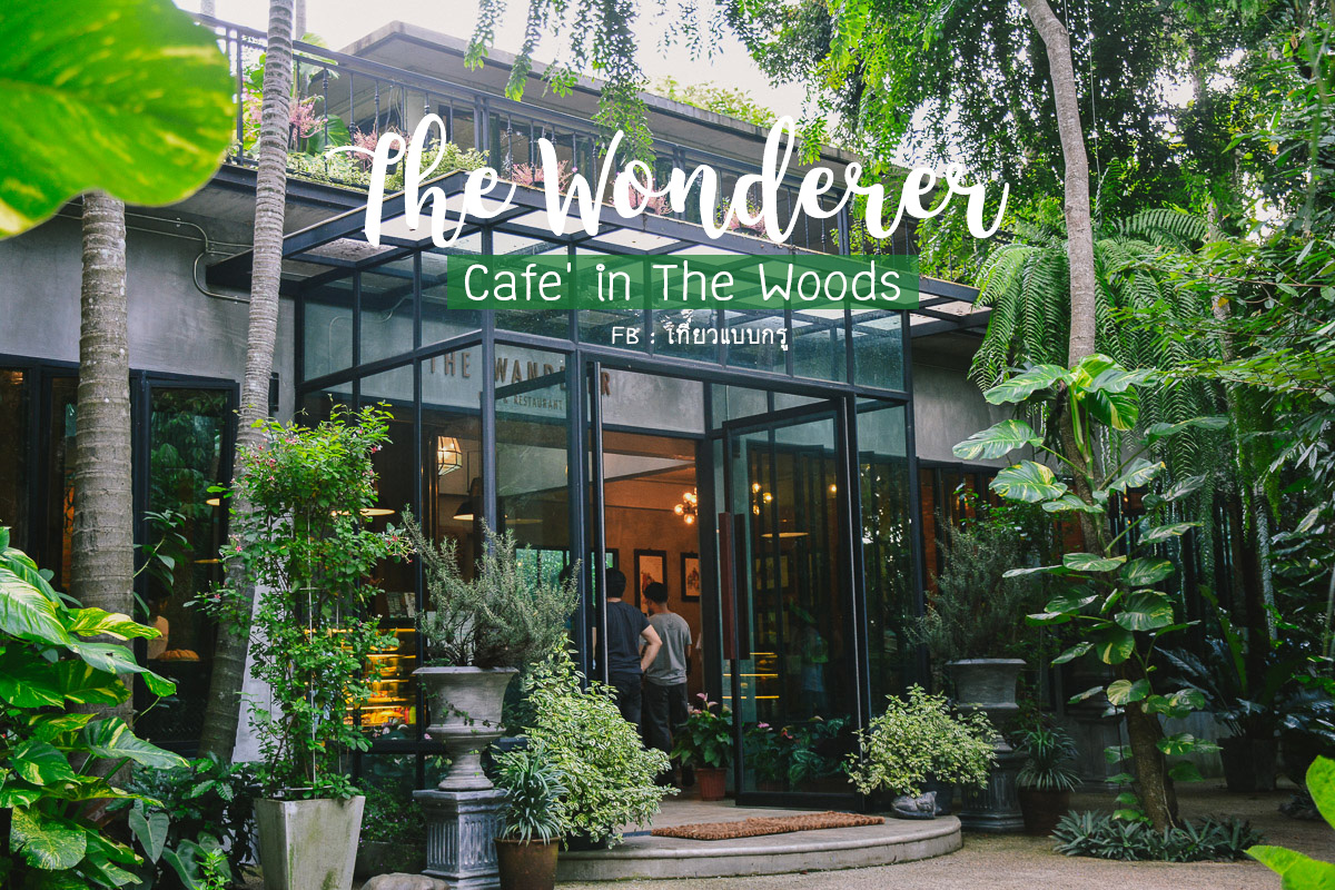 The Wanderer เชียงราย ร้านกาแฟท่ามกลางป่าสีเขียวติดแม่น้ำกก – Me Story ...