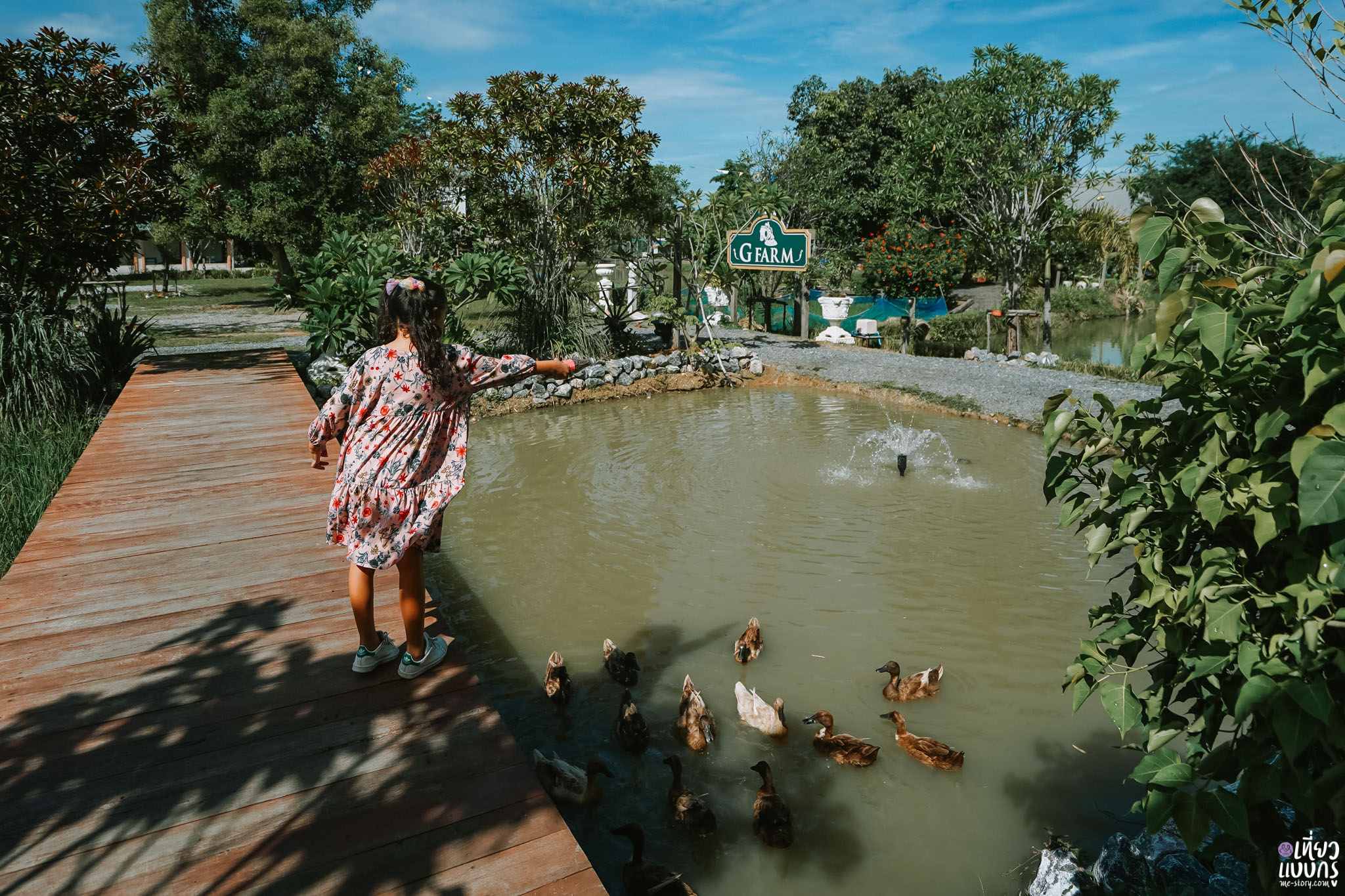 G Farm at Sam Khok คาเฟ่สำหรับครอบครัว – Me Story : เที่ยวแบบกรู