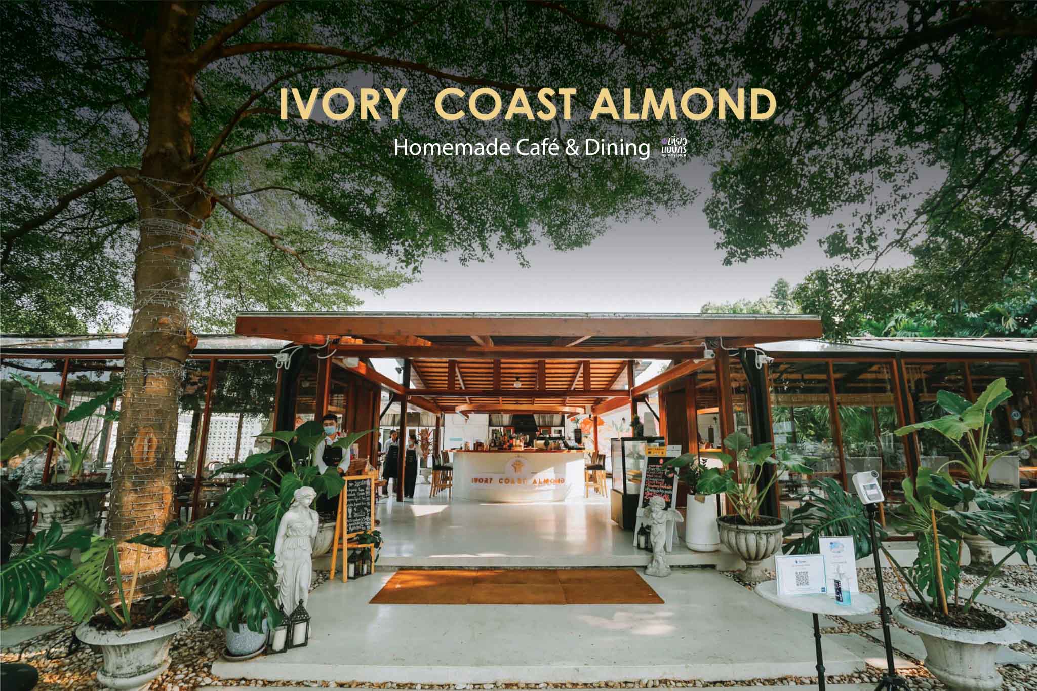 IVORY Coast Almond – Homemade Café & Dining – Me Story : เที่ยวแบบกรู